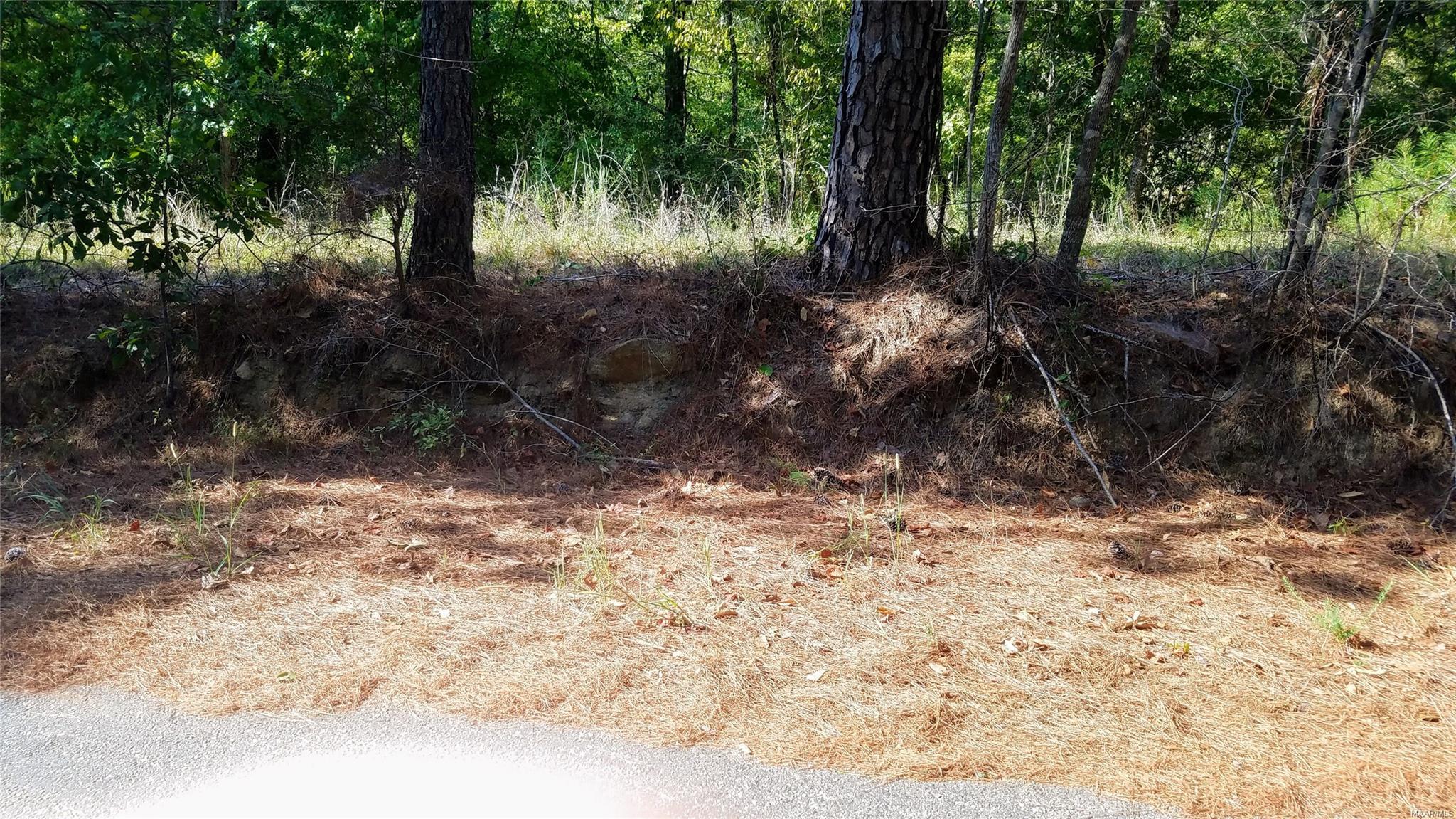 0 Welona Creek Road, Titus, AL - lhrmls-00592173 - LakeHomes.com 0 Welona Creek Road, Titus, AL - lhrmls-00592173 - LakeHomes.com
