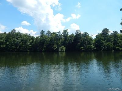 Jordan Lake Alabama Lake Homes For Sale and Jordan Lake Alabama Lake ...