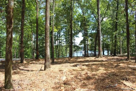 Jordan Lake Alabama Lake Homes For Sale and Jordan Lake Alabama Lake ...