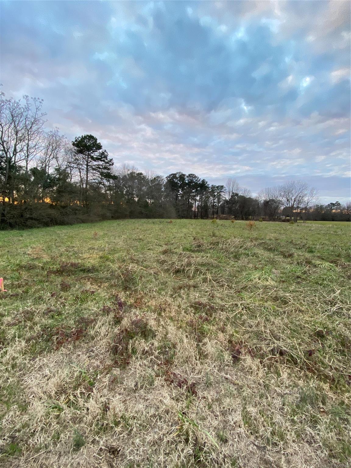 1114 Wilson Road, Wetumpka, AL - lhrmls-00873729 - LakeHomes.com