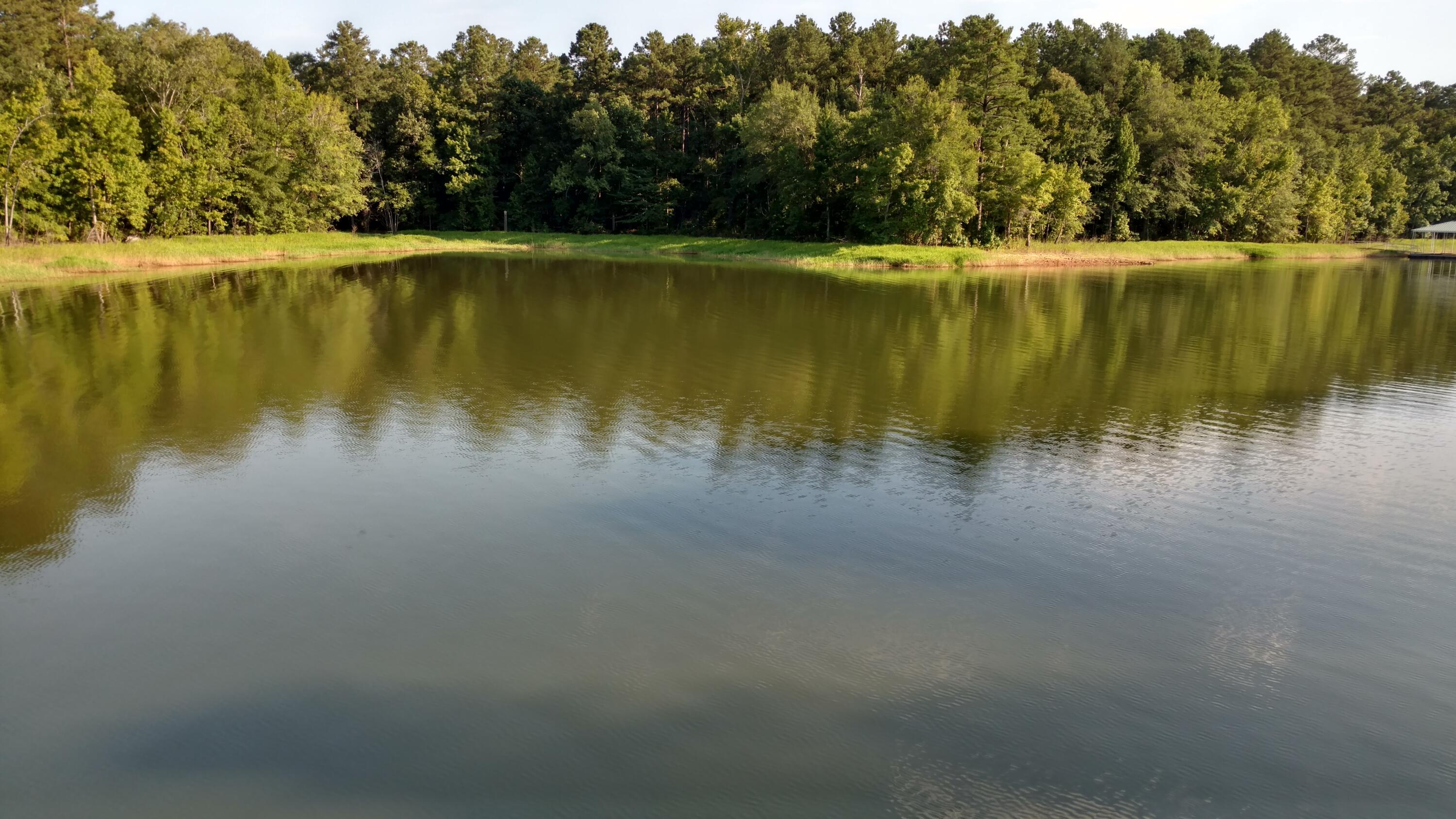 00 LIGHTHOUSE POINTE, Lincolnton, GA - lhrmls-01789383 - LakeHomes.com