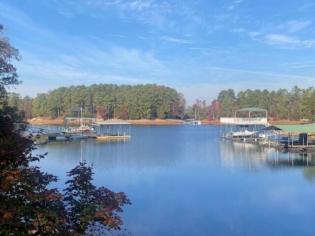 280 LEE DR, Modoc, SC - lhrmls-01372228 - LakeHomes.com