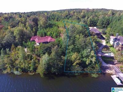 Jordan Lake Alabama Lake Homes For Sale and Jordan Lake Alabama Lake ...