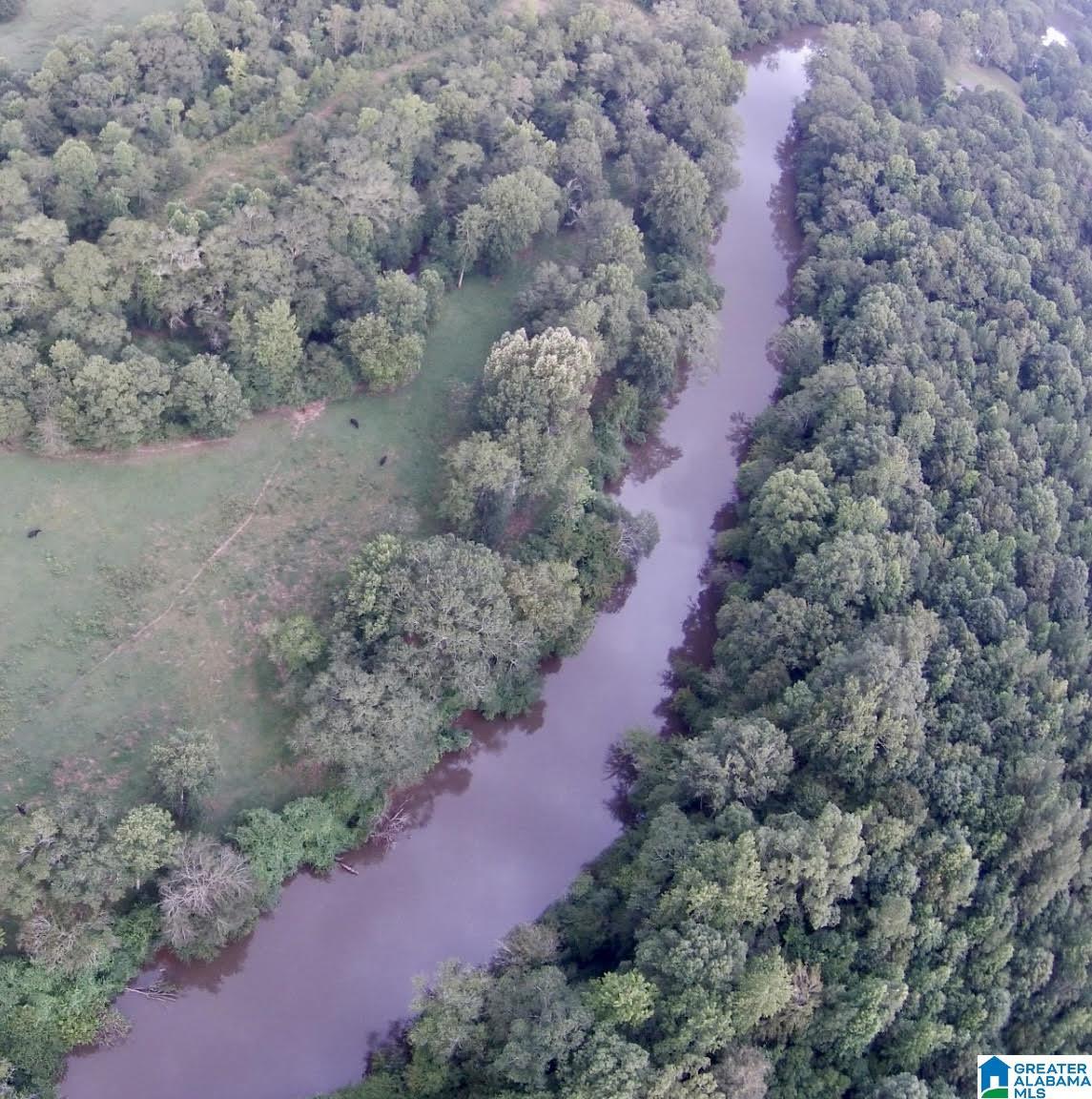 1768 COUNTY ROAD 432, NEWELL, AL - lhrmls-03322405 - LakeHomes.com