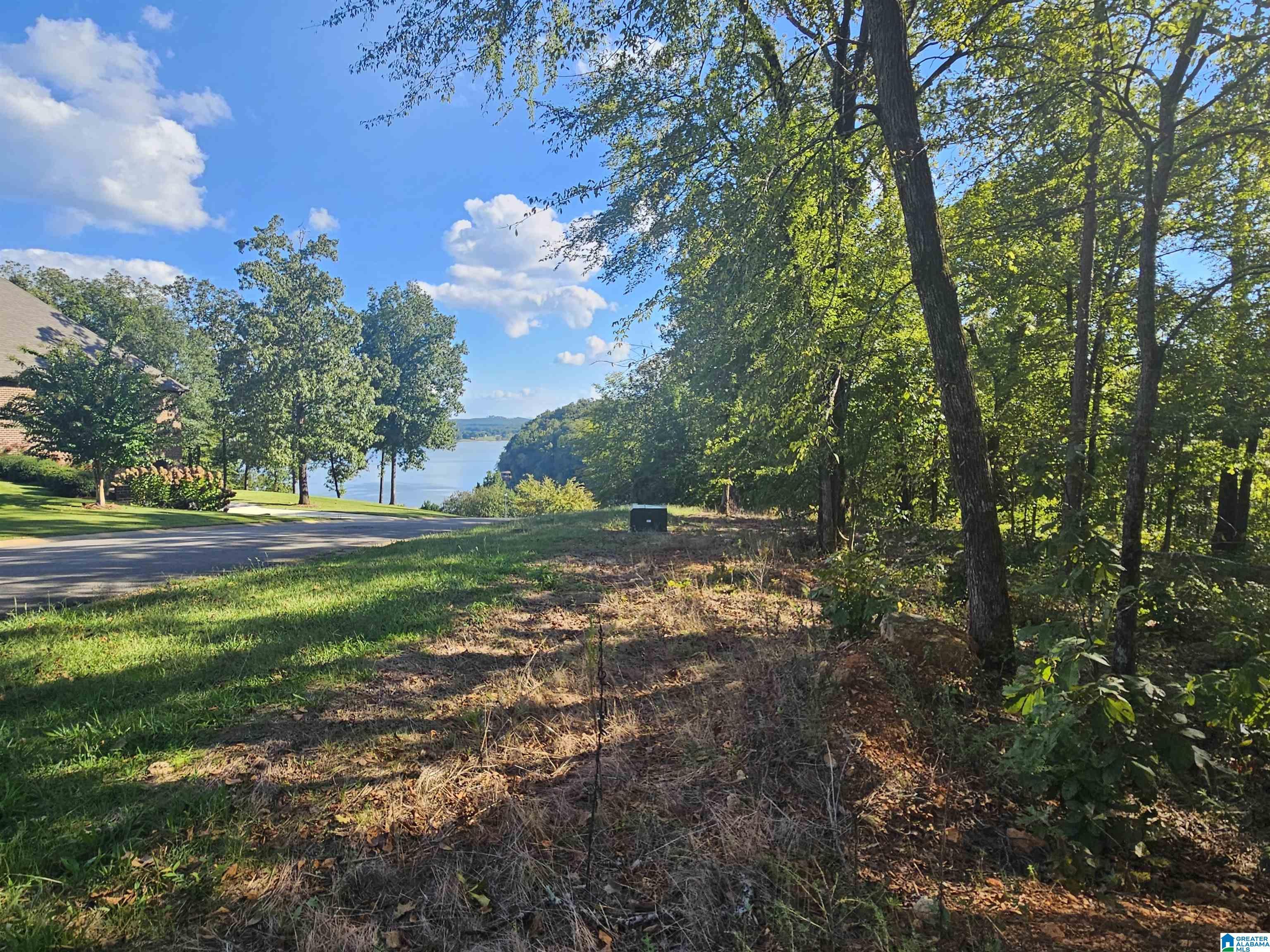 187 WILLOW LOOP CIRCLE, LINCOLN, AL - lhrmls-02900575 - LakeHomes.com