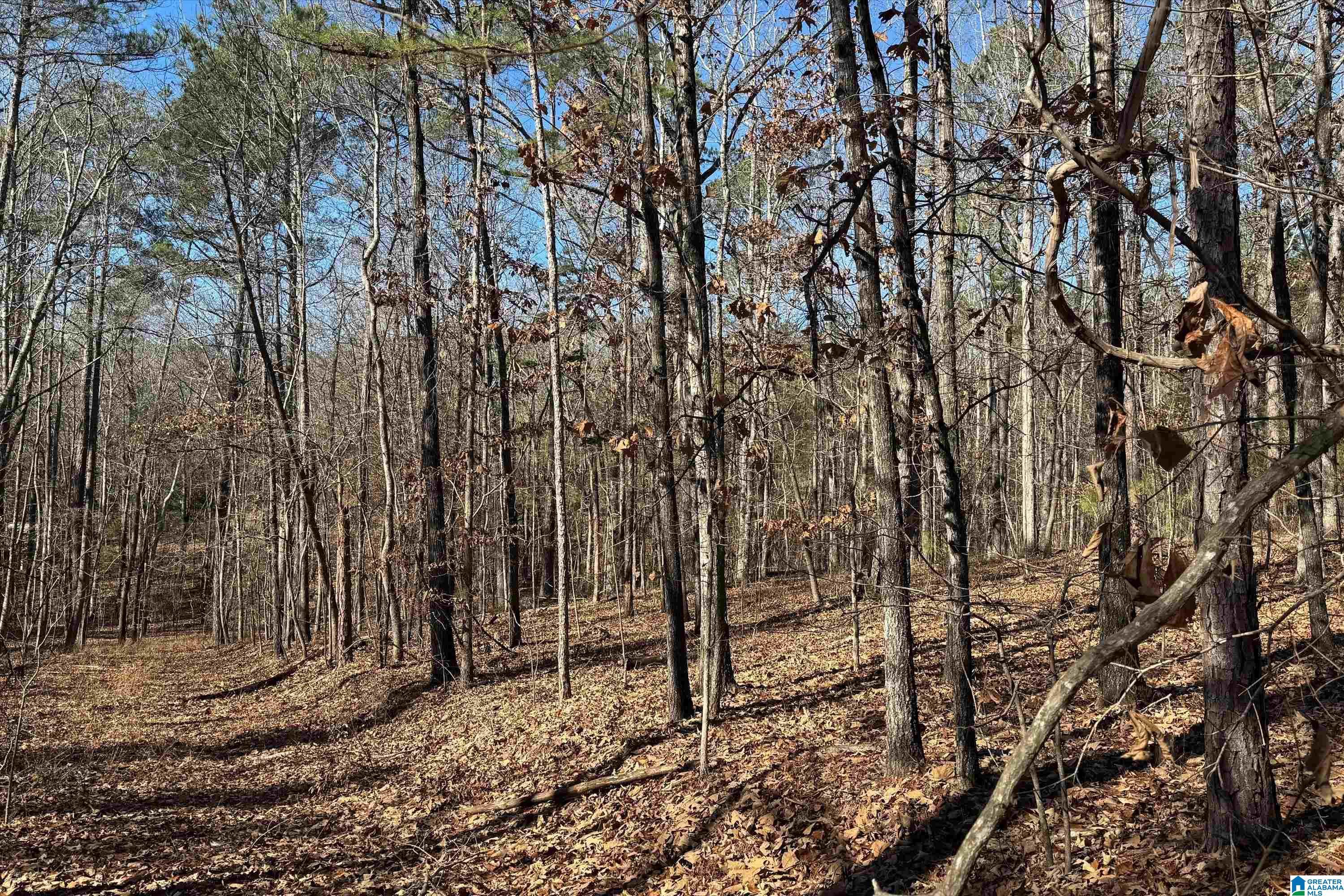 Lot 44 BEACH ISLAND TRACE, DADEVILLE, AL - lhrmls-02817314 - LakeHomes.com