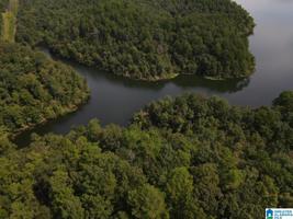 Lay Lake Alabama Lake Homes For Sale and Lay Lake Alabama Lake Houses ...