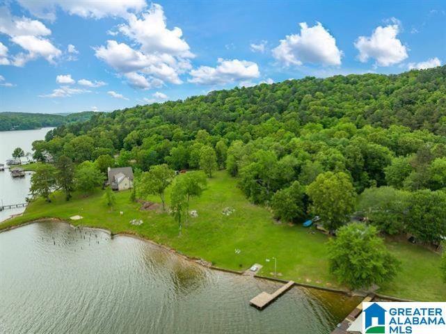 Lot 21 & 22 LAKE RIDGE LANE, TALLADEGA, AL - lhrmls-01657744 ...