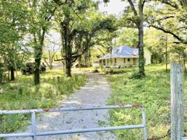 Lay Lake Alabama Lake Homes For Sale and Lay Lake Alabama Lake Houses ...