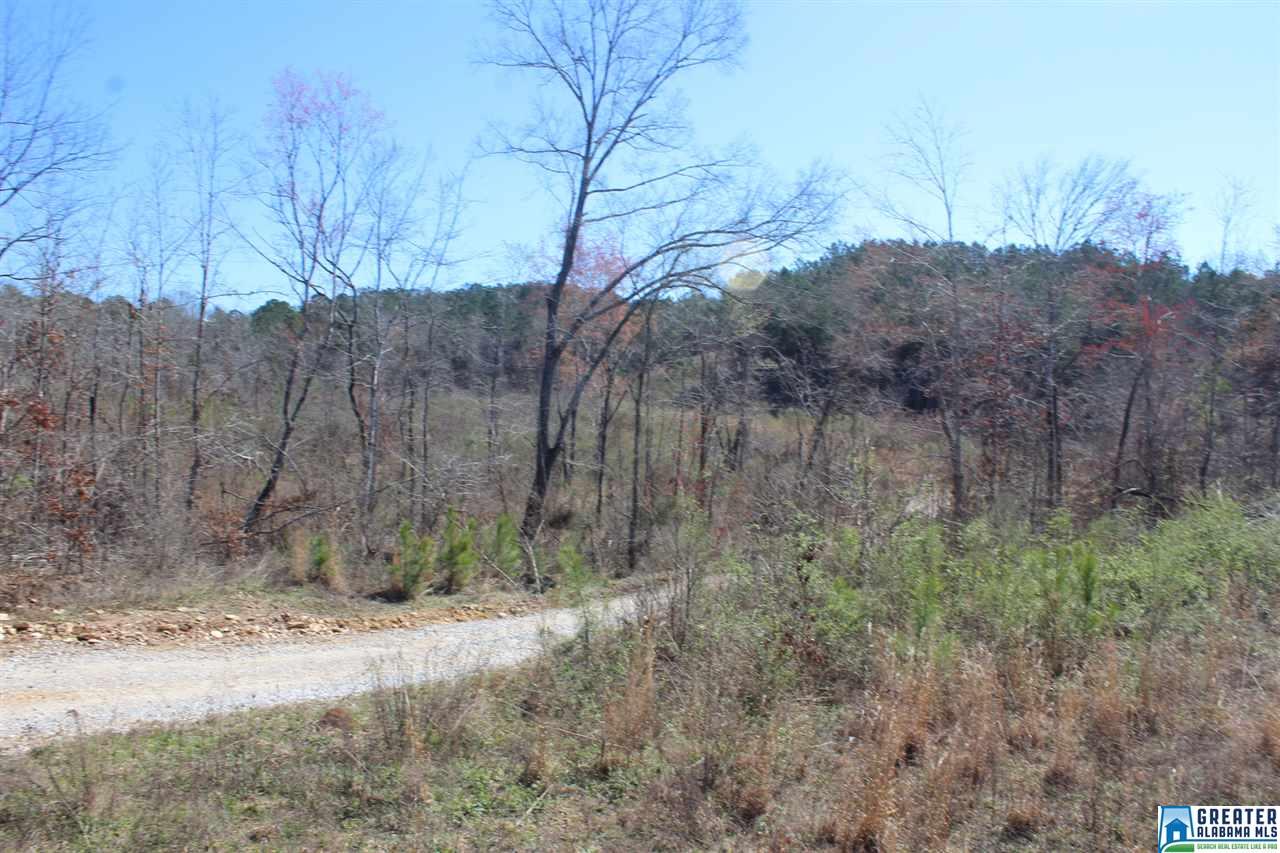 REED CREEK DR, SHELBY, AL - lhrmls-00463720 - LakeHomes.com