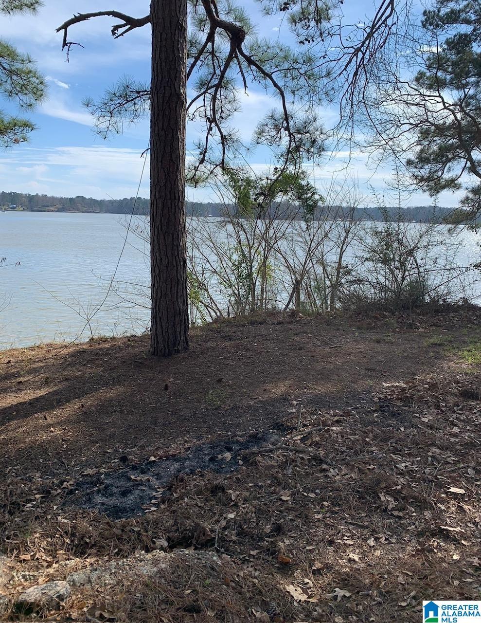 Lot 53.001 LAKEVIEW PT, RIVERSIDE, AL - lhrmls-01707059 - LakeHomes.com