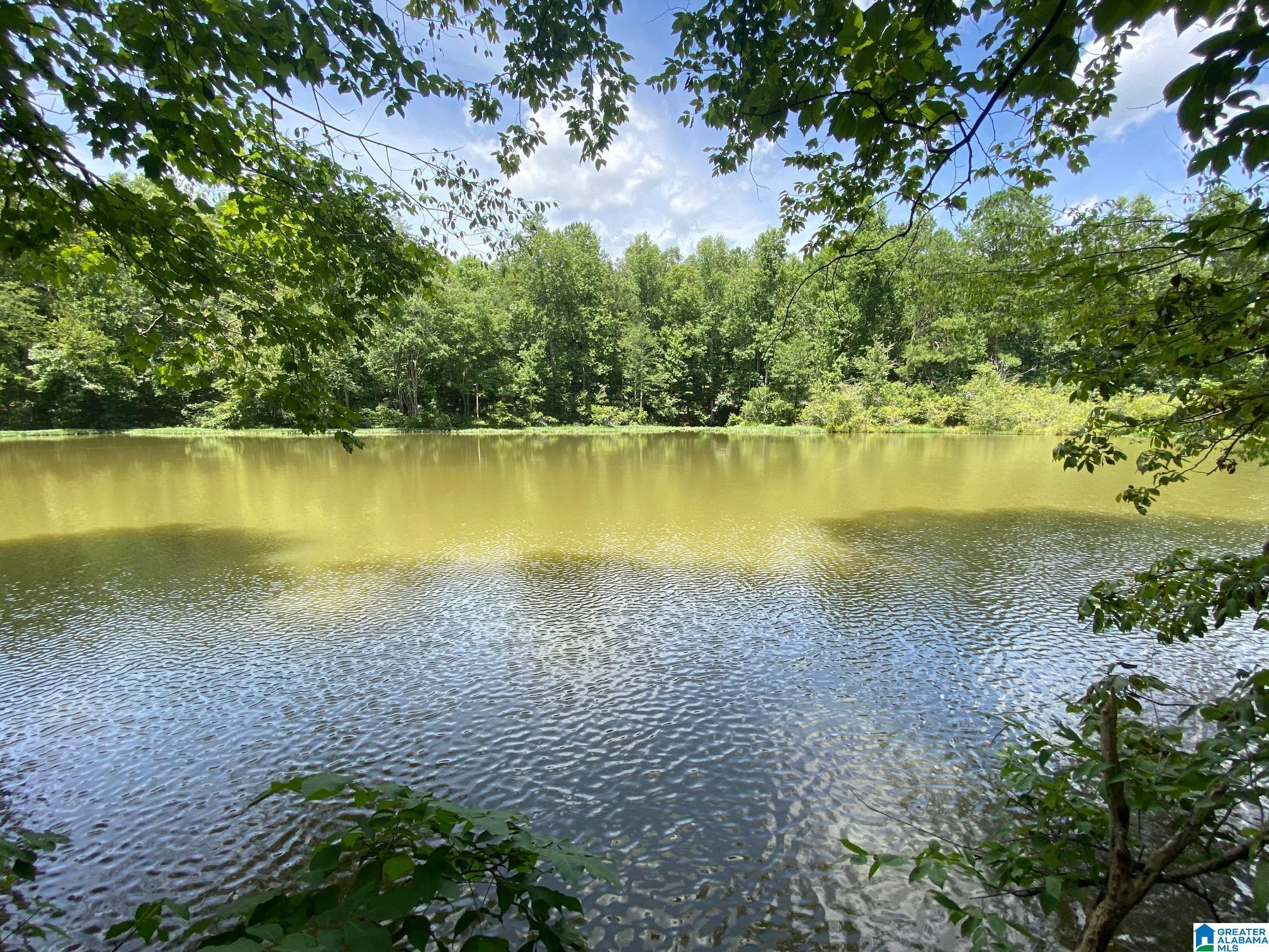 Tract 9 DIVIDED RIDGE ROAD RAGLAND AL Lhrmls 01280980 LakeHomes