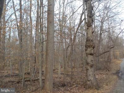 Lake Jackson Virginia Lake Homes For Sale and Lake Jackson Virginia ...