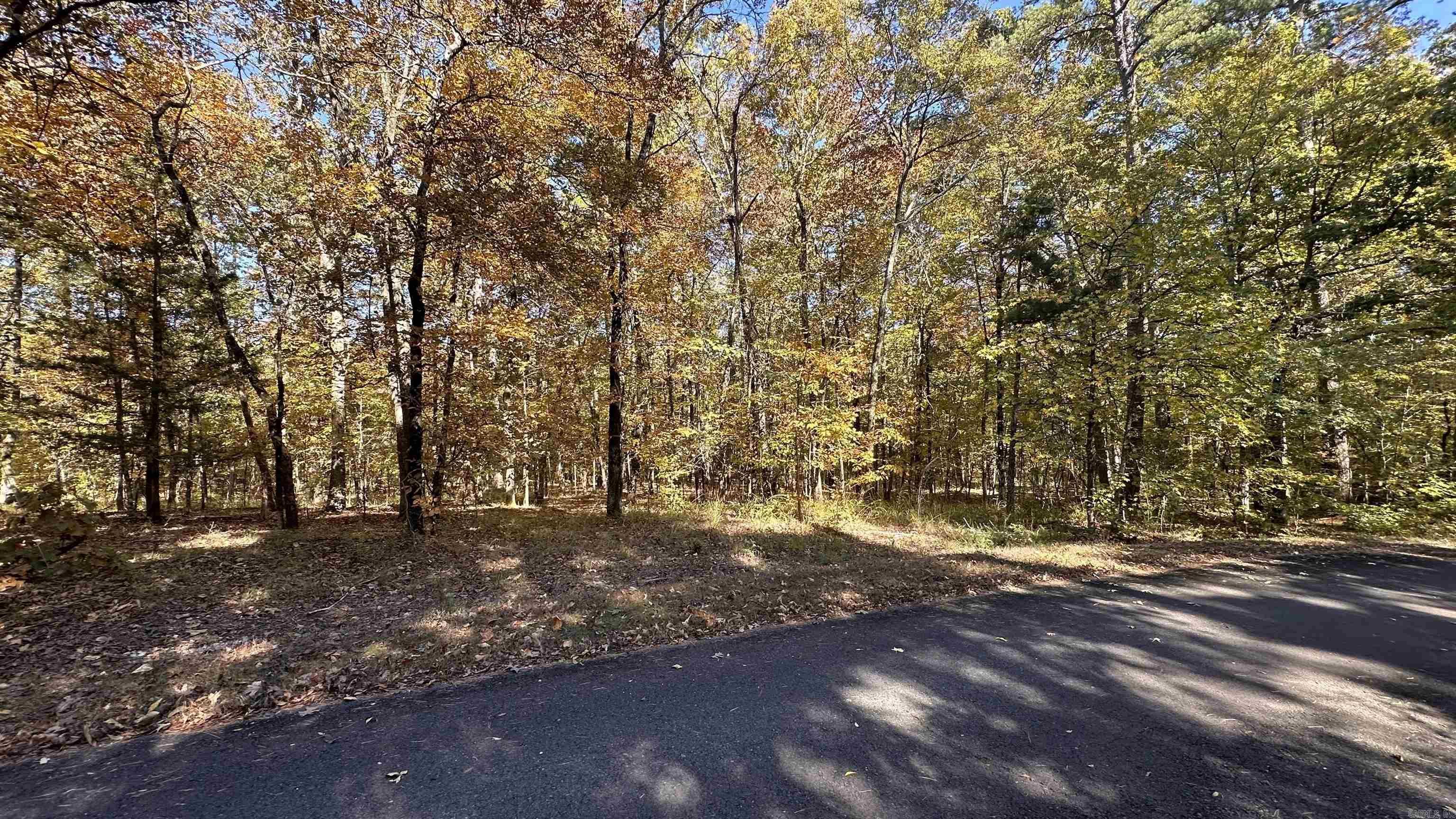 24 Buque Way, Hot Springs Village, AR - lhrmls-03598381 - LakeHomes.com