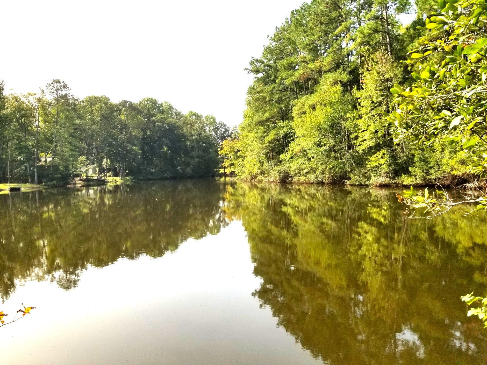 #7 Row Boat Lane, Elloree SC 29047, Elloree, SC - lhrmls-01907766 ...