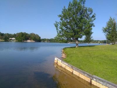 Lake Lancer Michigan Lake Homes For Sale and Lake Lancer Michigan Lake ...