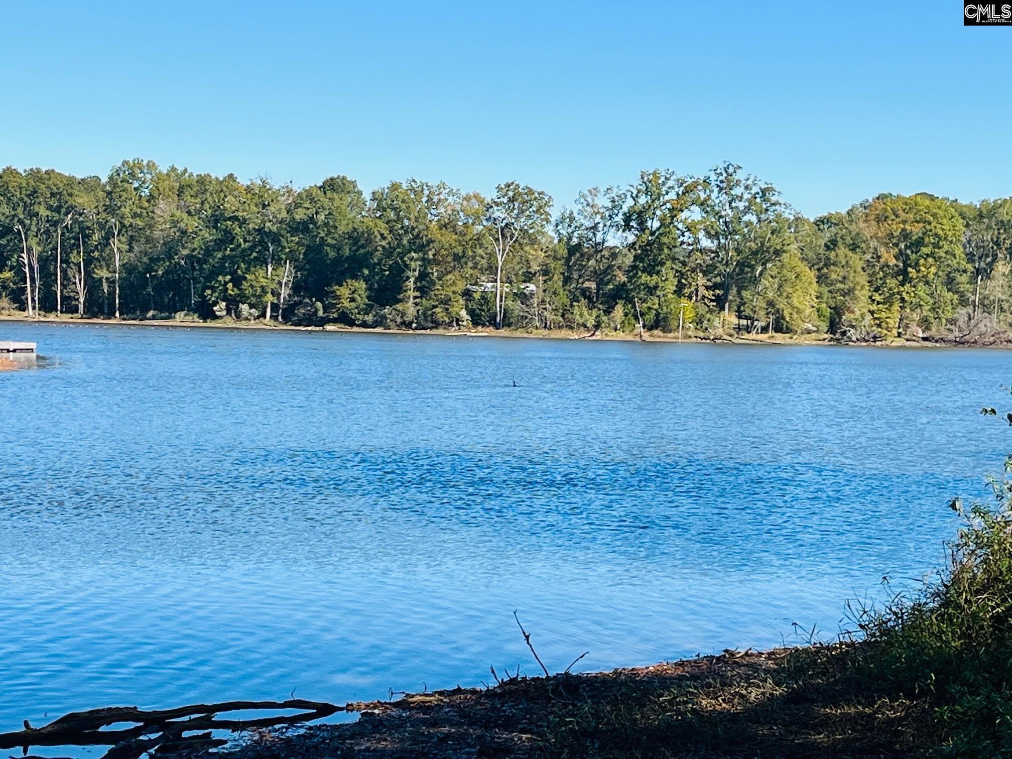 1209 Cold Harbor Drive, Saluda, SC - lhrmls-03578053 - LakeHomes.com