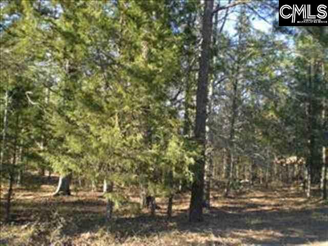 337 John Kinards Circle, Chapin, SC - lhrmls-02197947 - LakeHomes.com