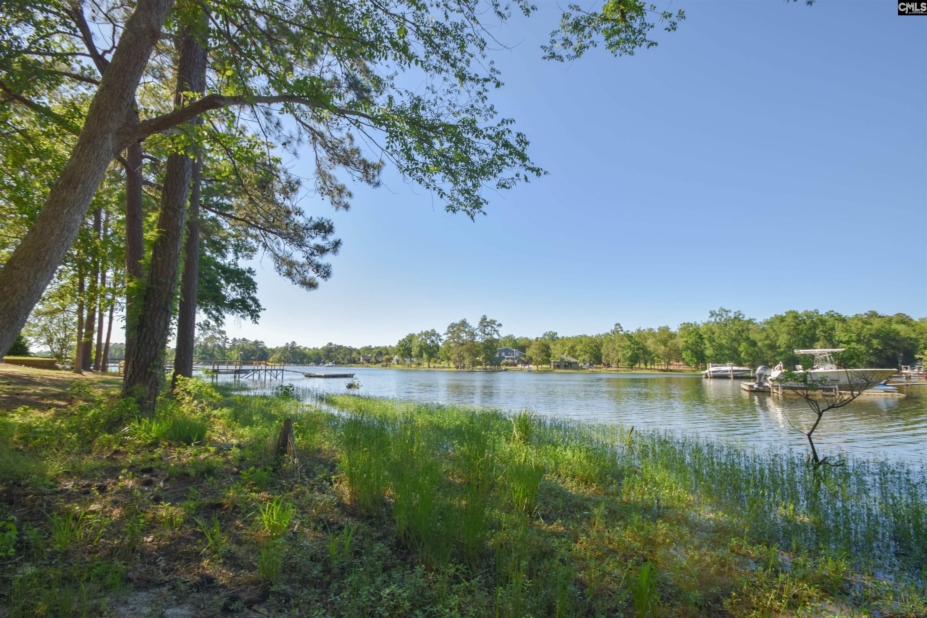 108 Killian Point Circle, Chapin, SC - lhrmls-03441060 - LakeHomes.com