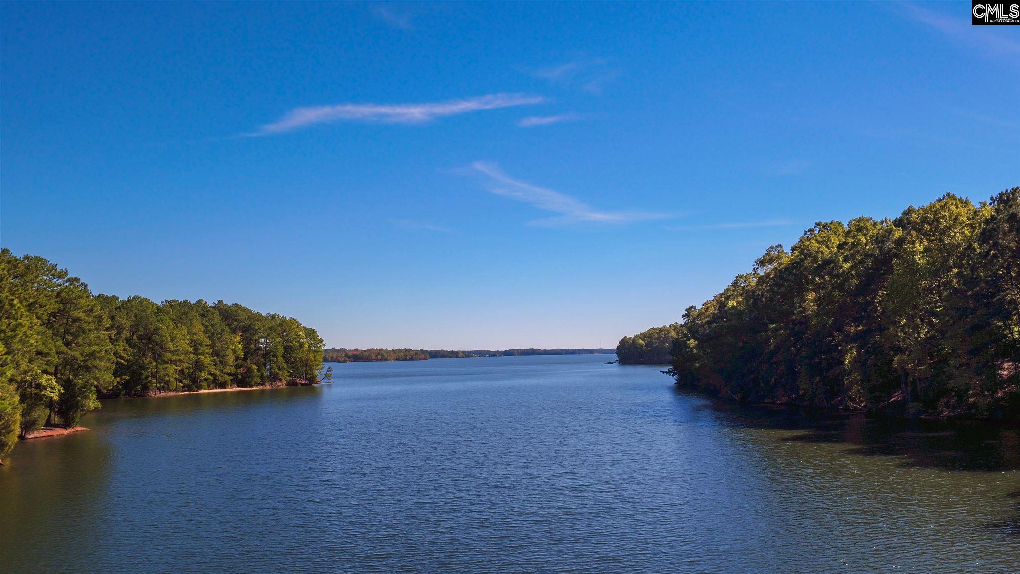 3539 Pearson Road, Blair, SC 29015 - lhrmls-00417578 - LakeHomes.com