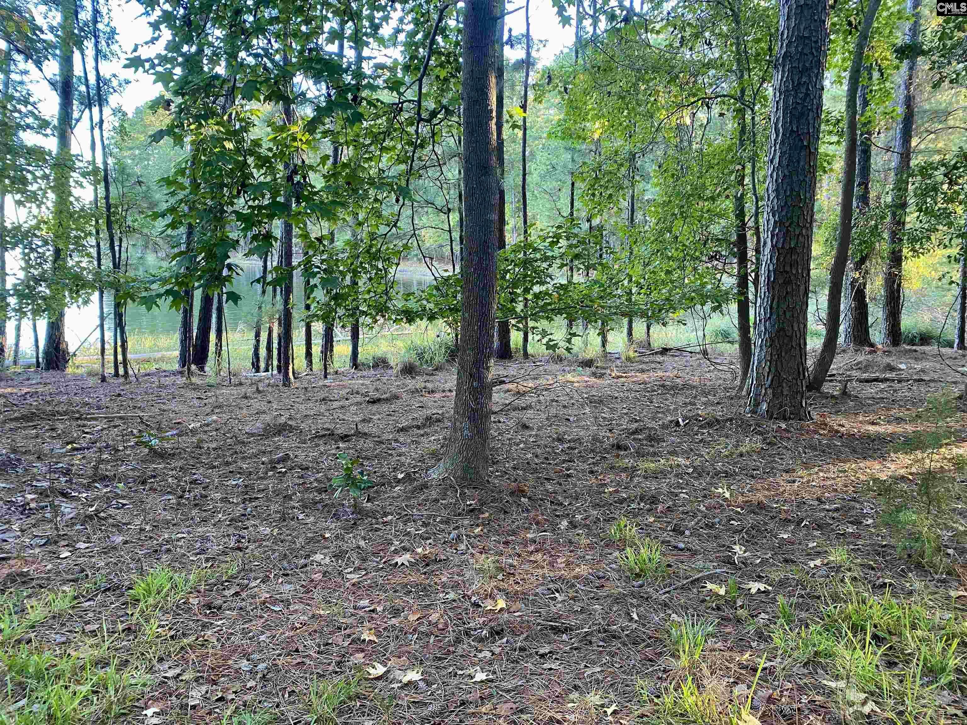 Resting Place Point, Chapin, SC - lhrmls-01874375 - LakeHomes.com