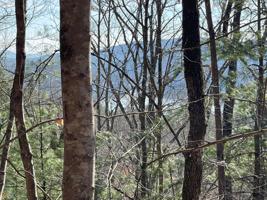 Lake Rabun Georgia Lake Homes For Sale and Lake Rabun Georgia Lake ...