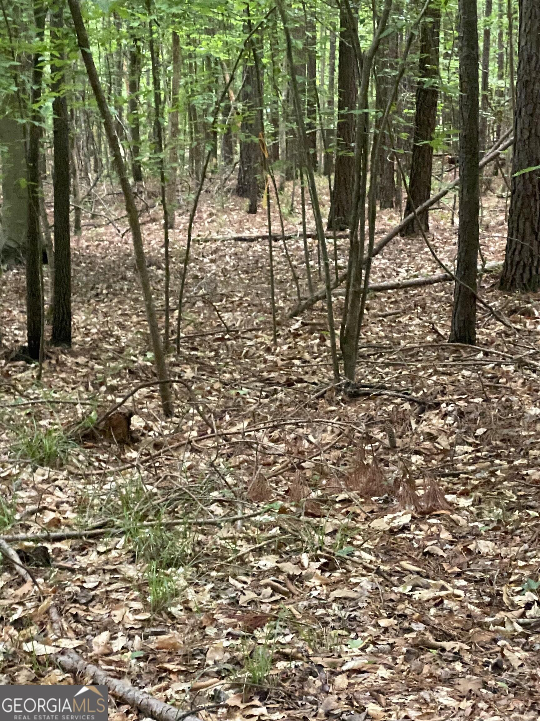 Lot 4 Cedar Grove Road, Buckhead GA 30625, Buckhead, GA - lhrmls ...