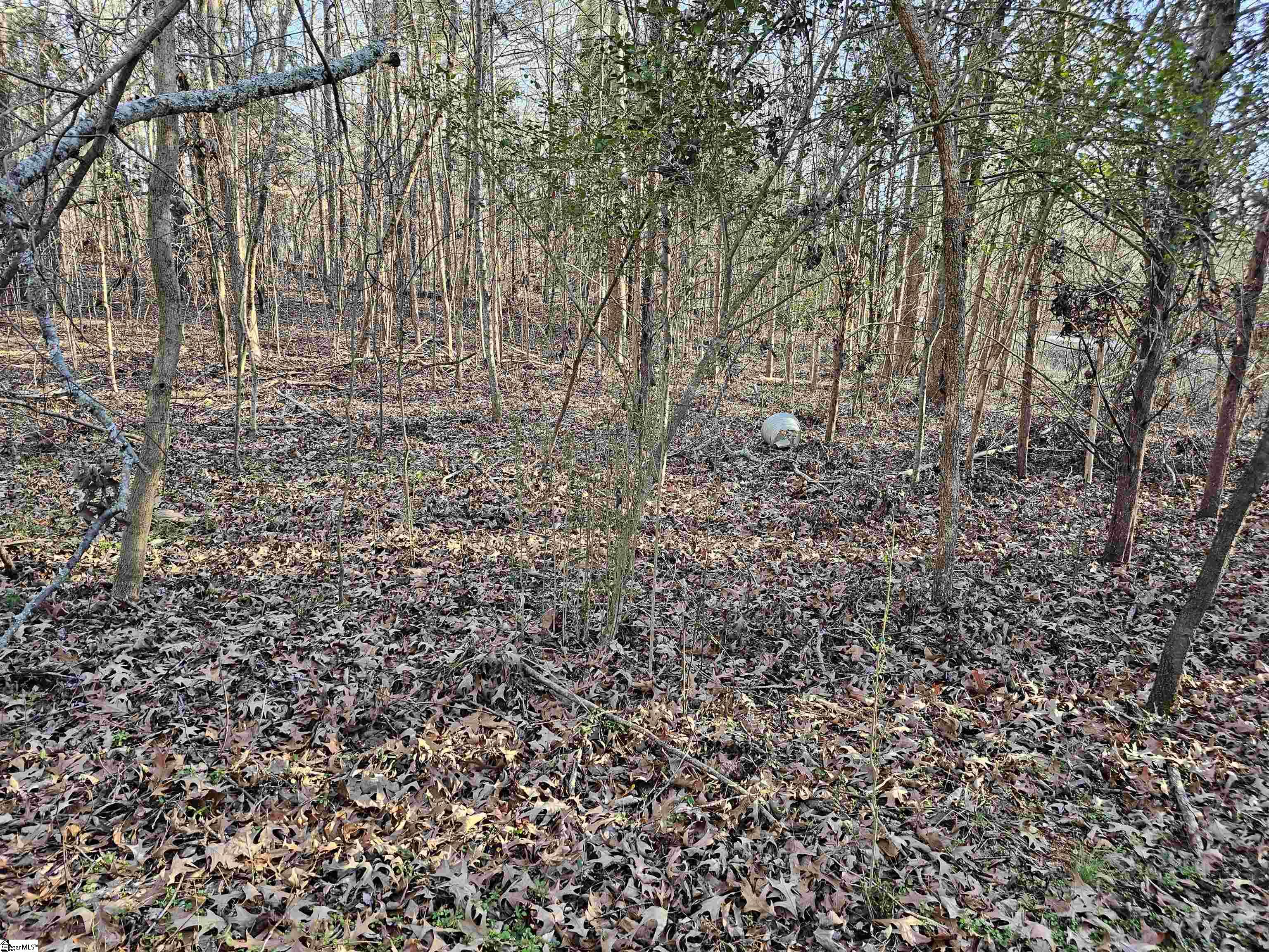 00 Rosemont Circle, Waterloo, SC - lhrmls-02700439 - LakeHomes.com