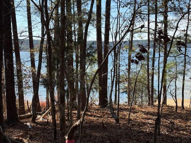 4-14 Old Ferry Road, McCormick, SC - lhrmls-03710020 - LakeHomes.com