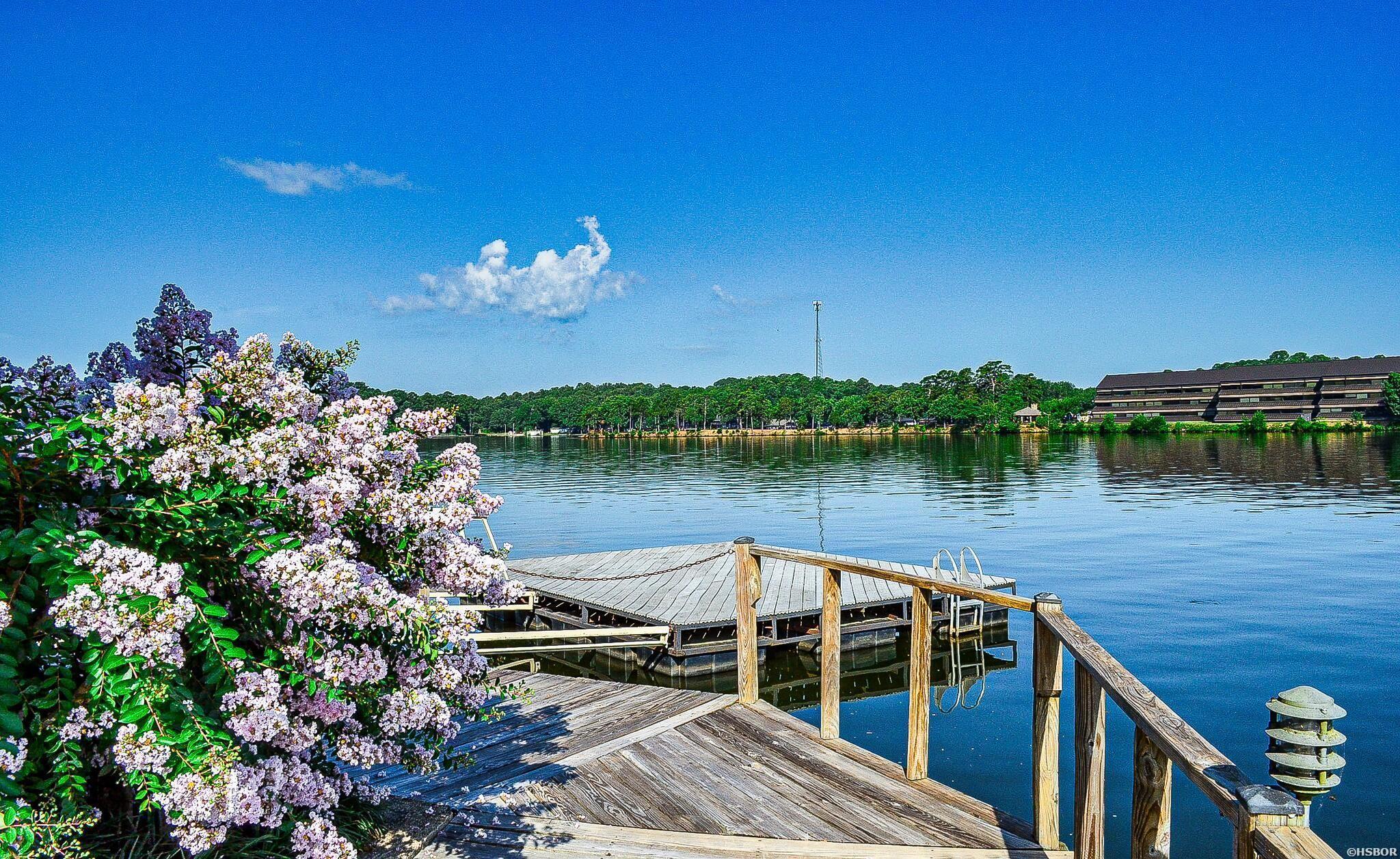 100 BAYOU Point, Hot Springs, AR - lhrmls-02630379 - LakeHomes.com