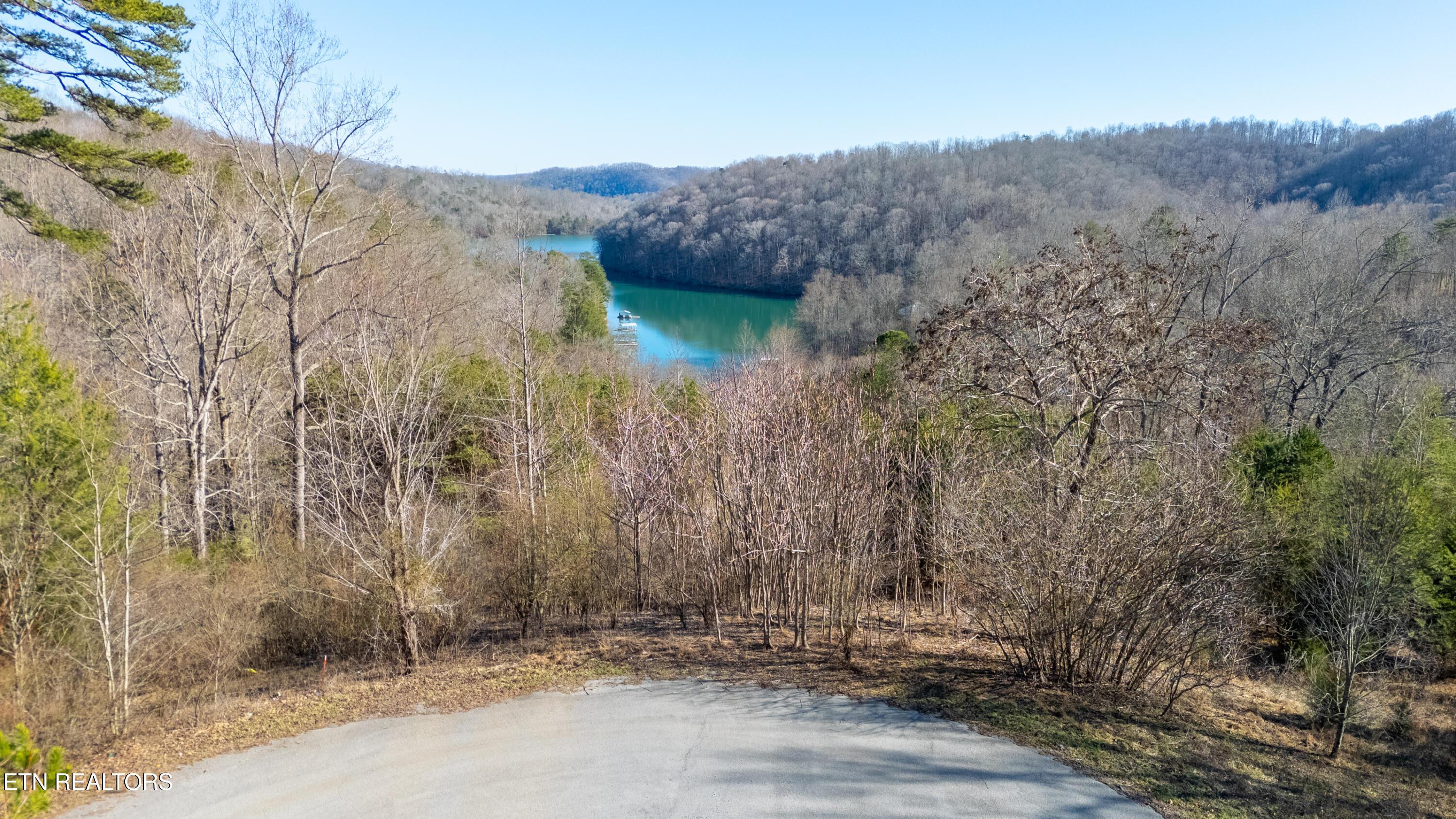 Lot 3 Chapman Lane, Jacksboro, TN - lhrmls-02760285 - LakeHomes.com