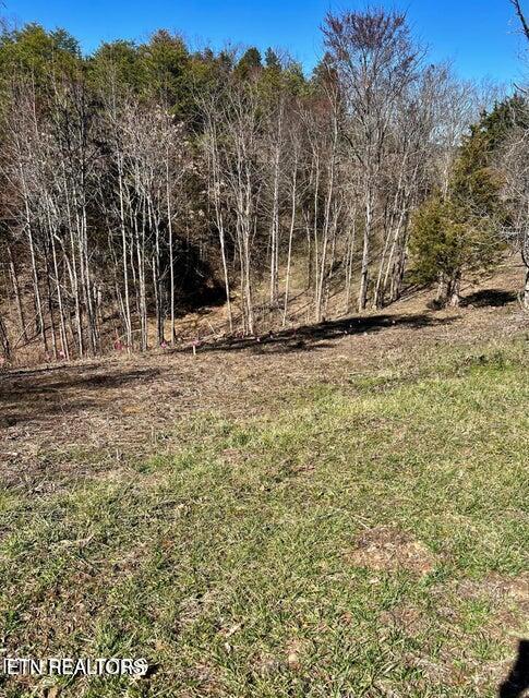 Lot 1 A 2009 Scott Street, Sevierville, TN - lhrmls-03105047 ...