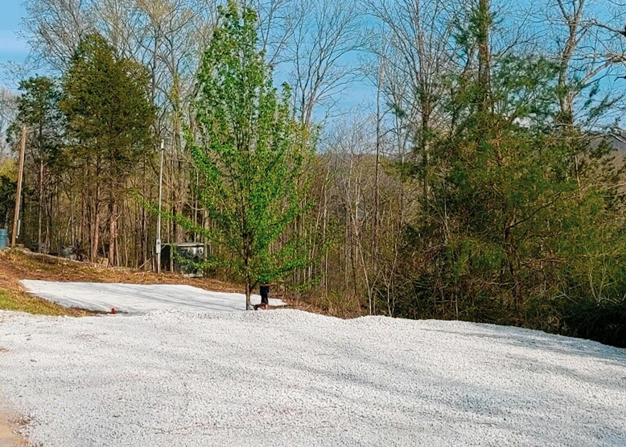 555 Colonel Drive, Burnside, KY - lhrmls-01585358 - LakeHomes.com