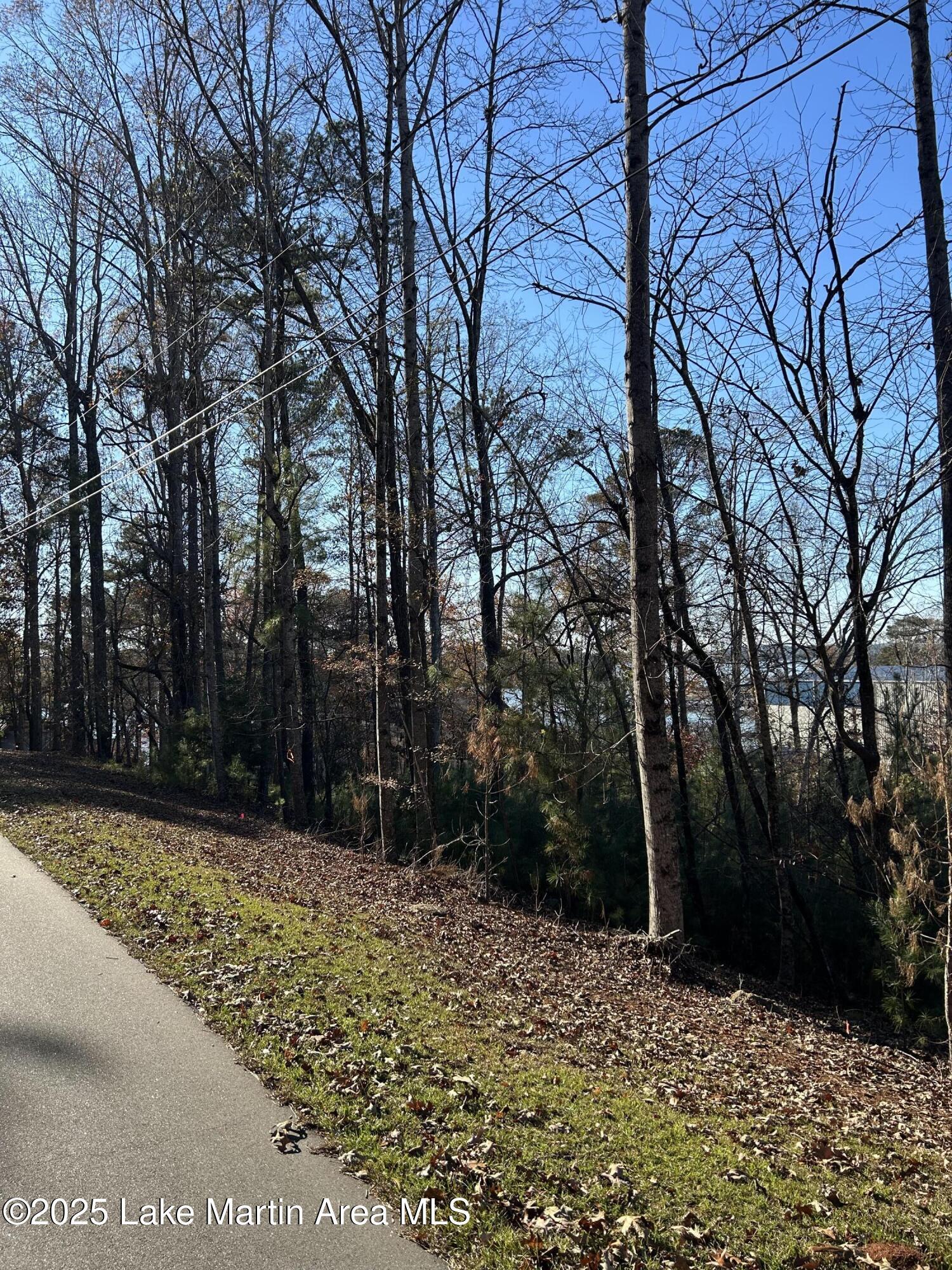 Lot 10 Blue Creek Cir, Dadeville, AL - lhrmls-03667428 - LakeHomes.com