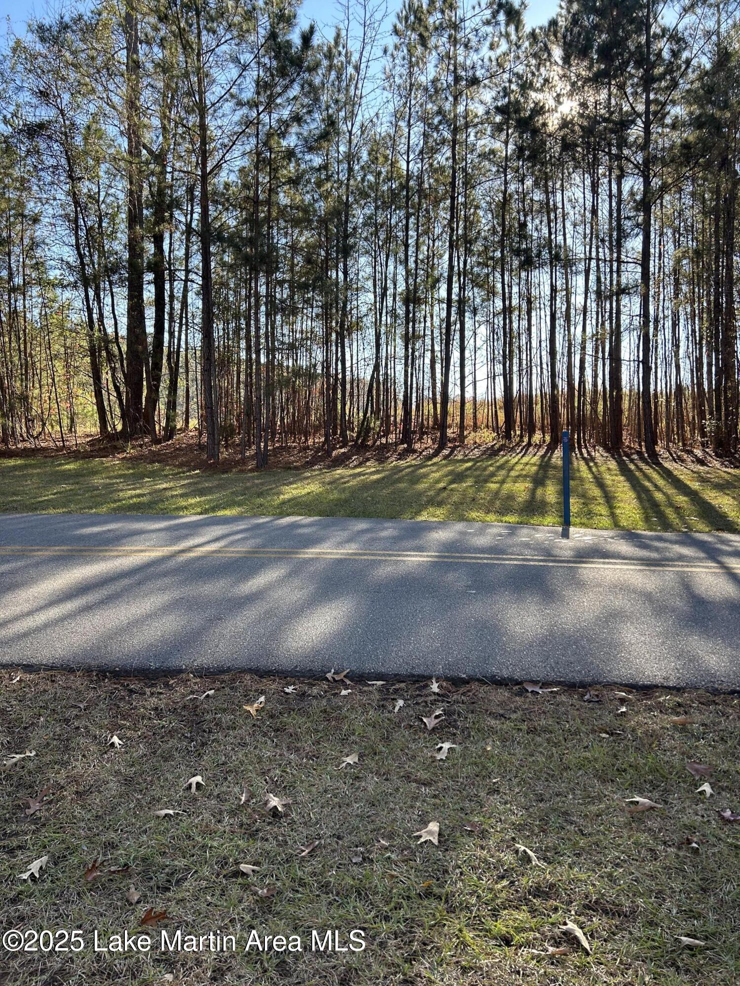 Lot 10 Blue Creek Cir, Dadeville, AL - lhrmls-03667428 - LakeHomes.com
