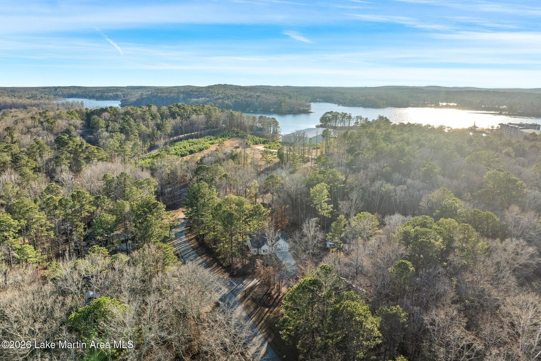 17 Shadow Ln, Dadeville, AL - lhrmls-03806240 - LakeHomes.com