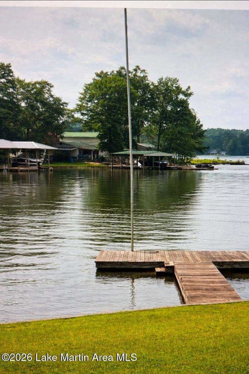87 Willow Wood Way, Dadeville, AL - lhrmls-03993179 - LakeHomes.com