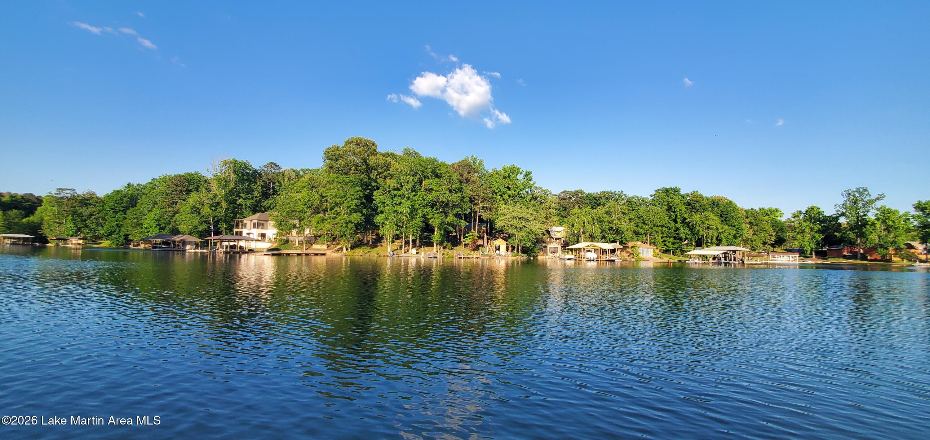 620 Shoreline Dr, Jacksons Gap, AL - lhrmls-03886126 - LakeHomes.com