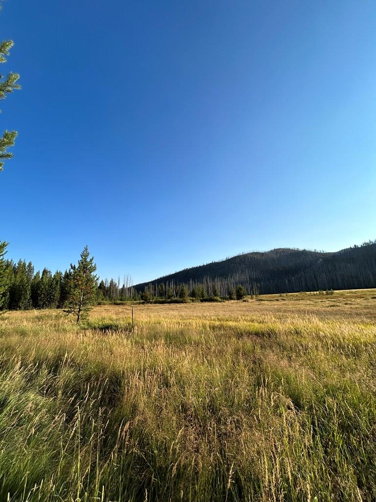 TBD Warren Wagon Road, Secesh, ID - lhrmls-01786202 - LakeHomes.com