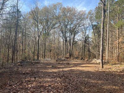 0 BAYVIEW DR, Bumpus Mills, TN - lhrmls-02224126 - LakeHomes.com