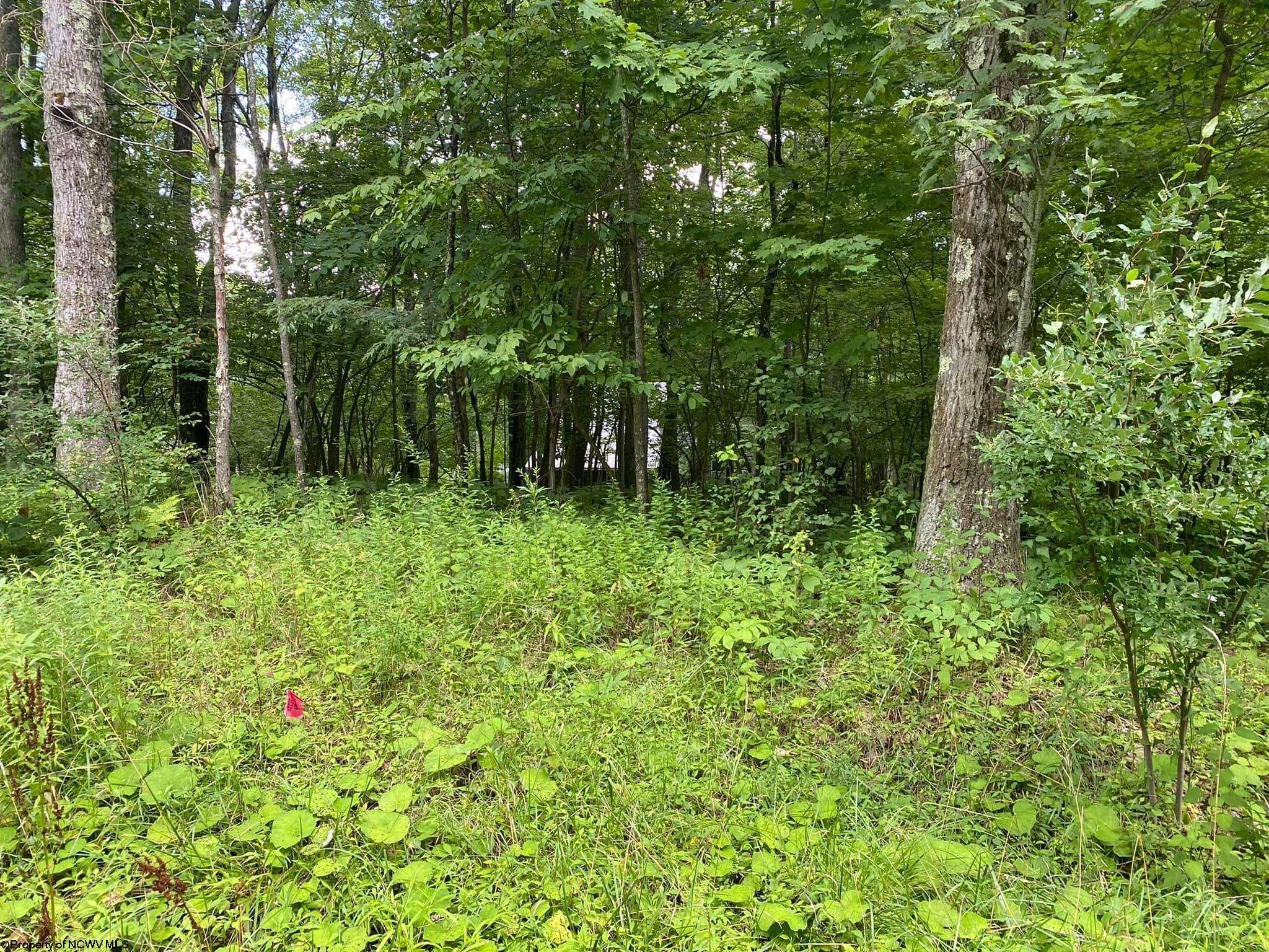 Lot 72 Oak, Terra Alta, WV - lhrmls-03679681 - LakeHomes.com