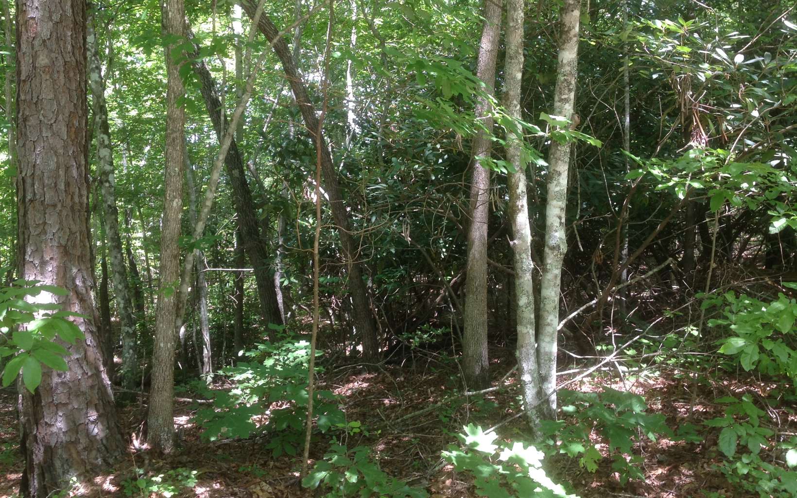 LOT 9 PENLAND INDIAN TRAIL, Hayesville, NC - lhrmls-00784088 ...