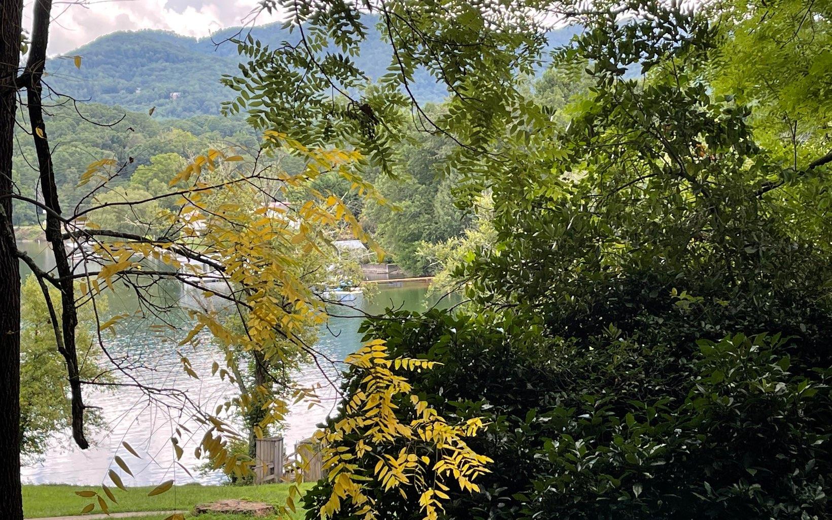 LT 6A Kilpatrick Point Terrace, Hayesville, NC - lhrmls-01987394 ...