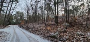 Balch Lake Lake Homes For Sale and Balch Lake Lake Houses For Sale ...