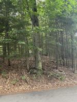 Baxter Lake New Hampshire Lake Homes For Sale and Baxter Lake New ...