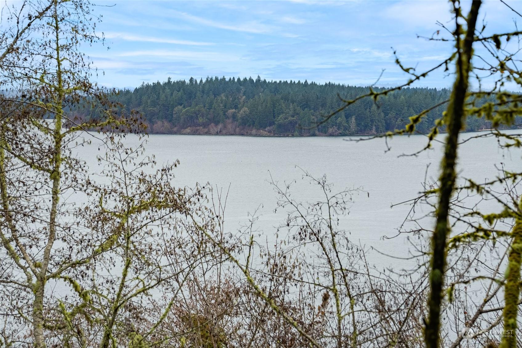 0 Zangle, Olympia, WA - lhrmls-01963071 - LakeHomes.com