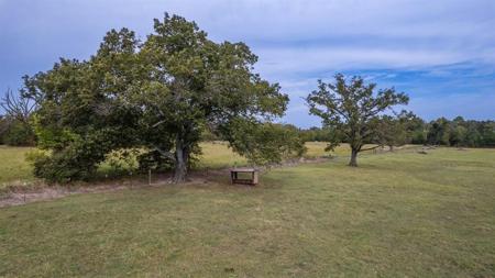 19 County Road 1616, Alba, TX - lhrmls-01807280 - LakeHomes.com