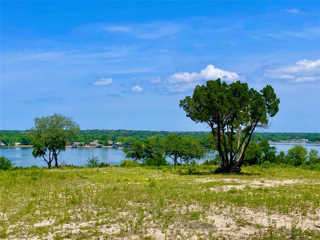 8088 Brownie Luker Court, Granbury, TX - lhrmls-01622040 - LakeHomes.com