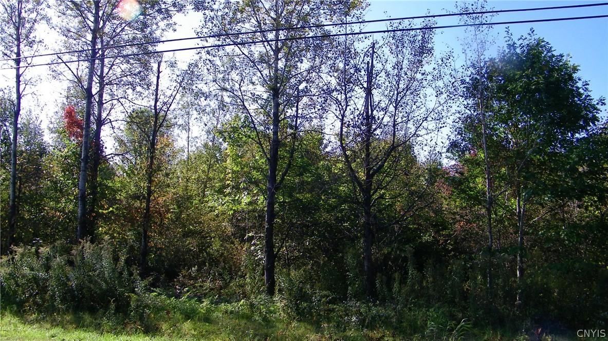 Lot#2 Martin Road, Constantia, NY - lhrmls-01079463 - LakeHomes.com