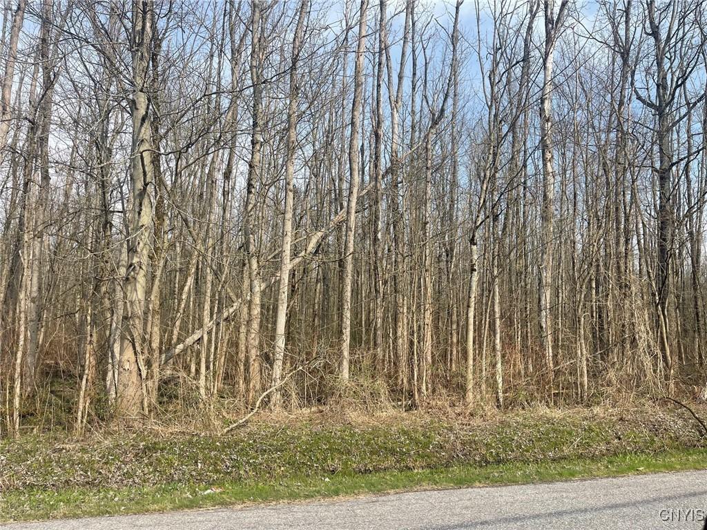 Lewis Point Road, Lenox, NY - lhrmls-02969773 - LakeHomes.com